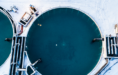 Iceland Arctic Char Sustainability - Matorka